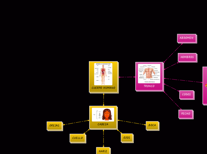 CUERPO HUMANO - Mind Map